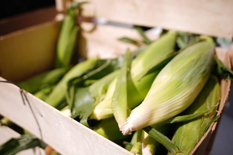 Menu - CornHub